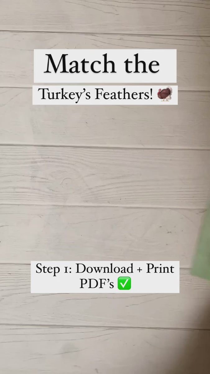 FREE Printable Thanksgiving Busy Book Page: Match the Turkey Feathers ...